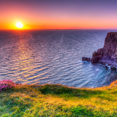 TruLife Financial Advisors